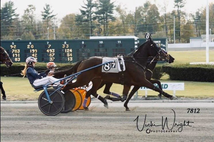 New Jersey’s Zingale relishes opportunity to improve horses with ...