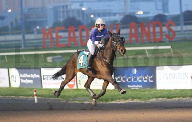 New Jersey’s Zingale relishes opportunity to improve horses with ...