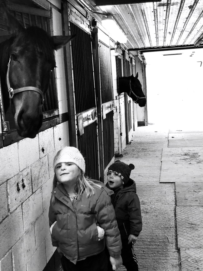 Matt Bax on being at home with horses - Harness Racing Update