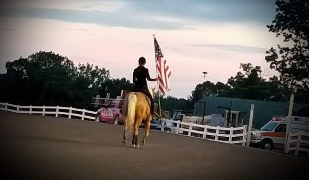Ashley Eldred now all in on standardbreds - Harness Racing Update
