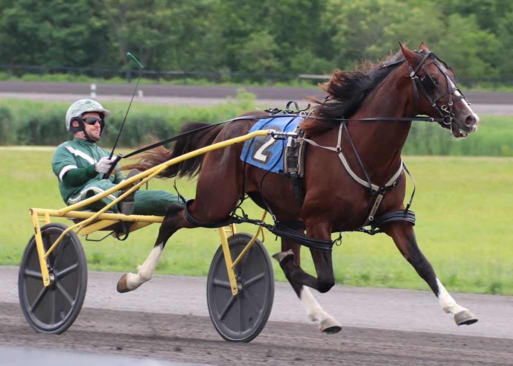 A way too early look at the fastest 2-year-old pacers - Harness Racing ...