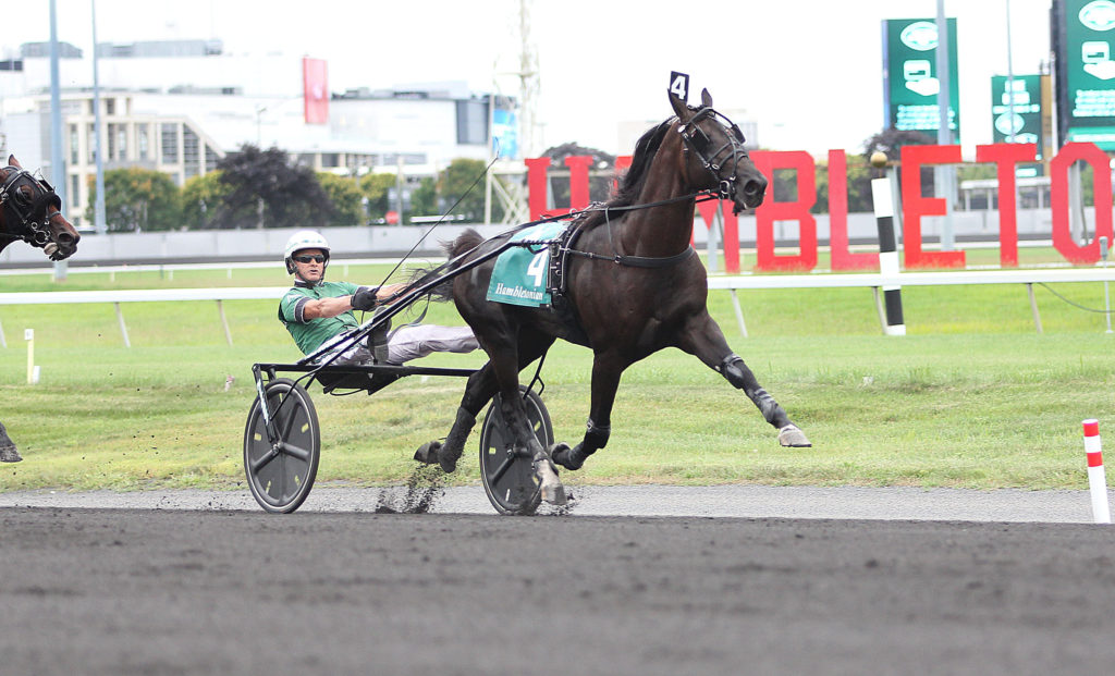O Captain! My Captain! – Harness Racing Update