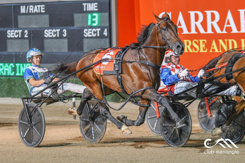 Luke McCarthy would have been a star in the U.S. like his brothers ...