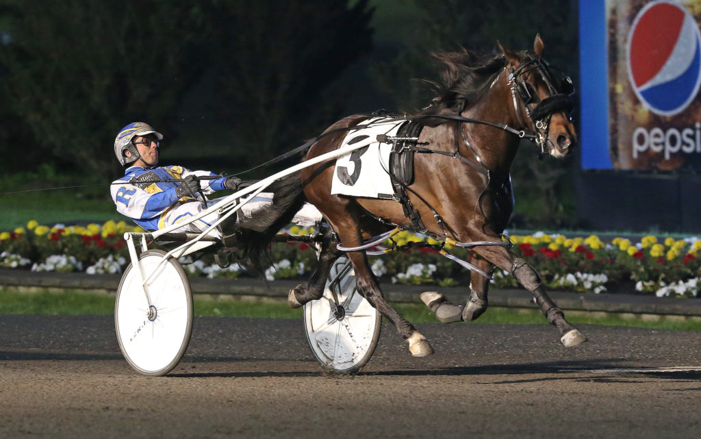 Jimmy Freight returns no worse for wear - Harness Racing Update