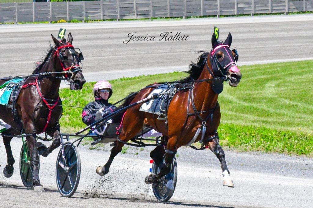 Lauren Tritton — trainer and driver - Harness Racing Update