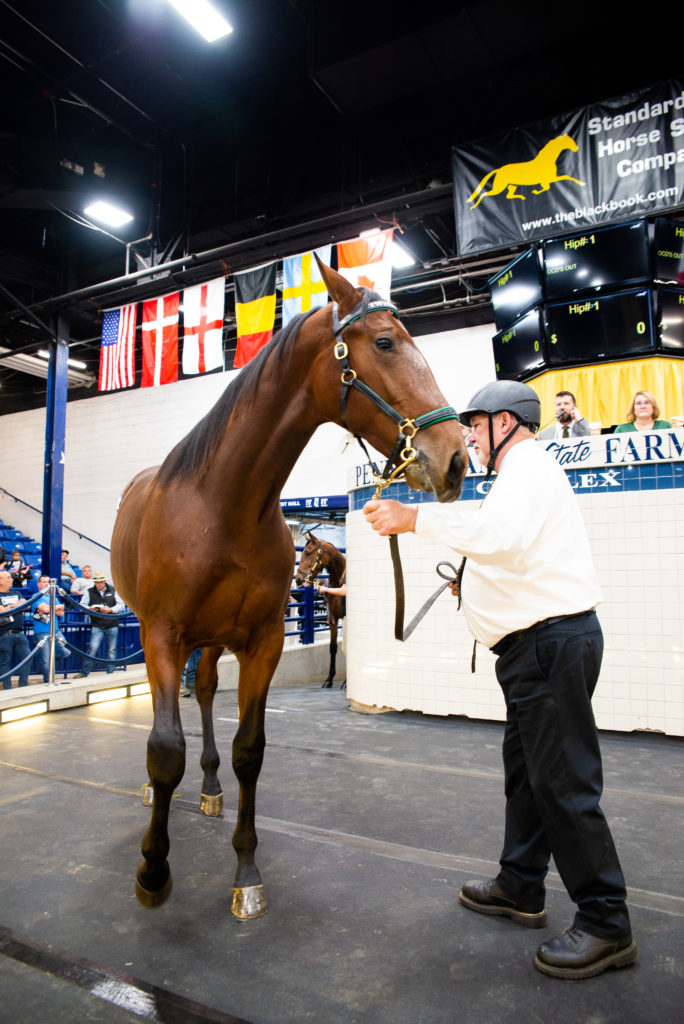 Tremendous Harrisburg sale grosses $70 million, just shy of the all-time record - Harness Racing ...