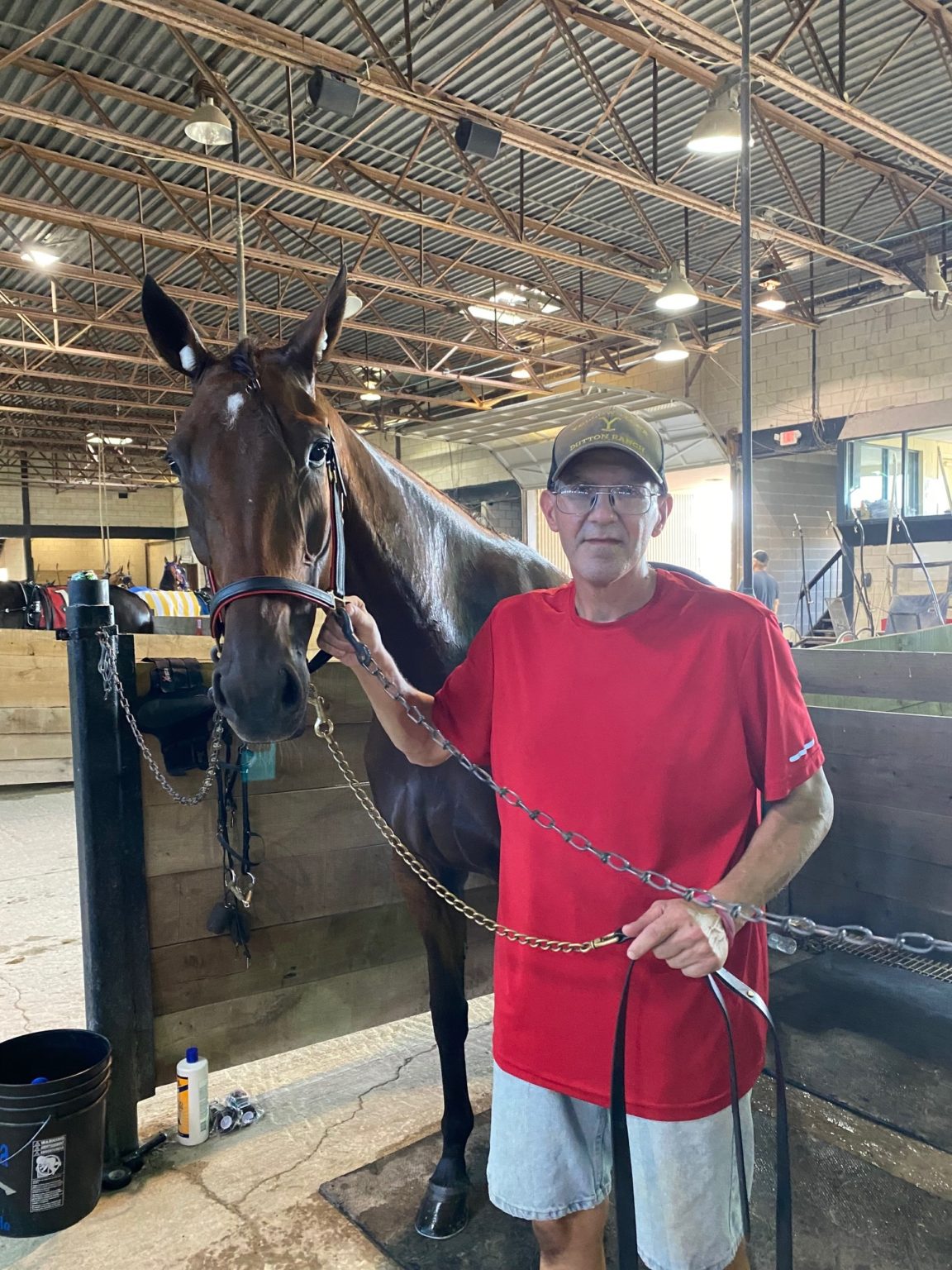 Ohio-based caretaker Steve Gibson feels lucky to work with horses ...