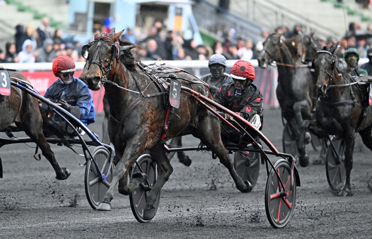 Female dominance on the Prix d’Amérique path - Harness Racing Update