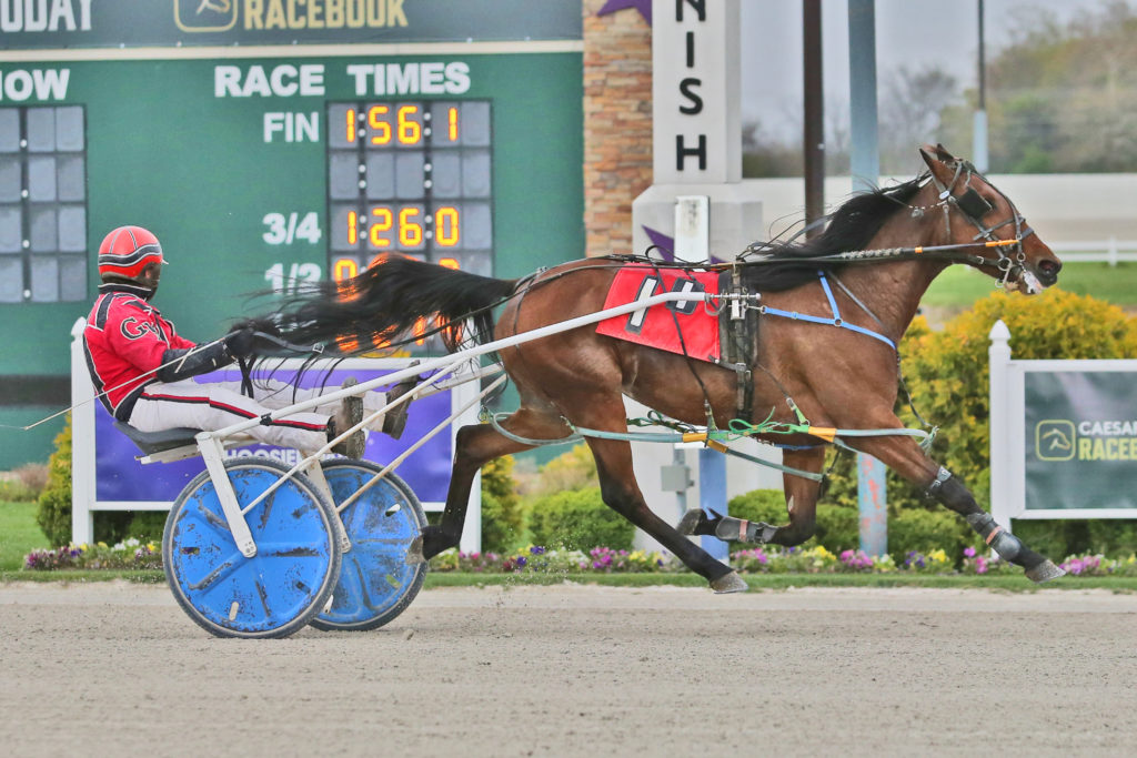 Gerald Miller balances family and the lure of developing horses ...