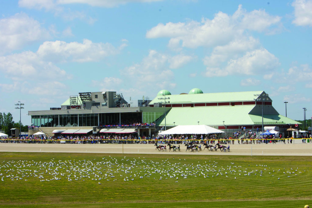 Track expansion to unlock further potential at Grand River - Harness ...