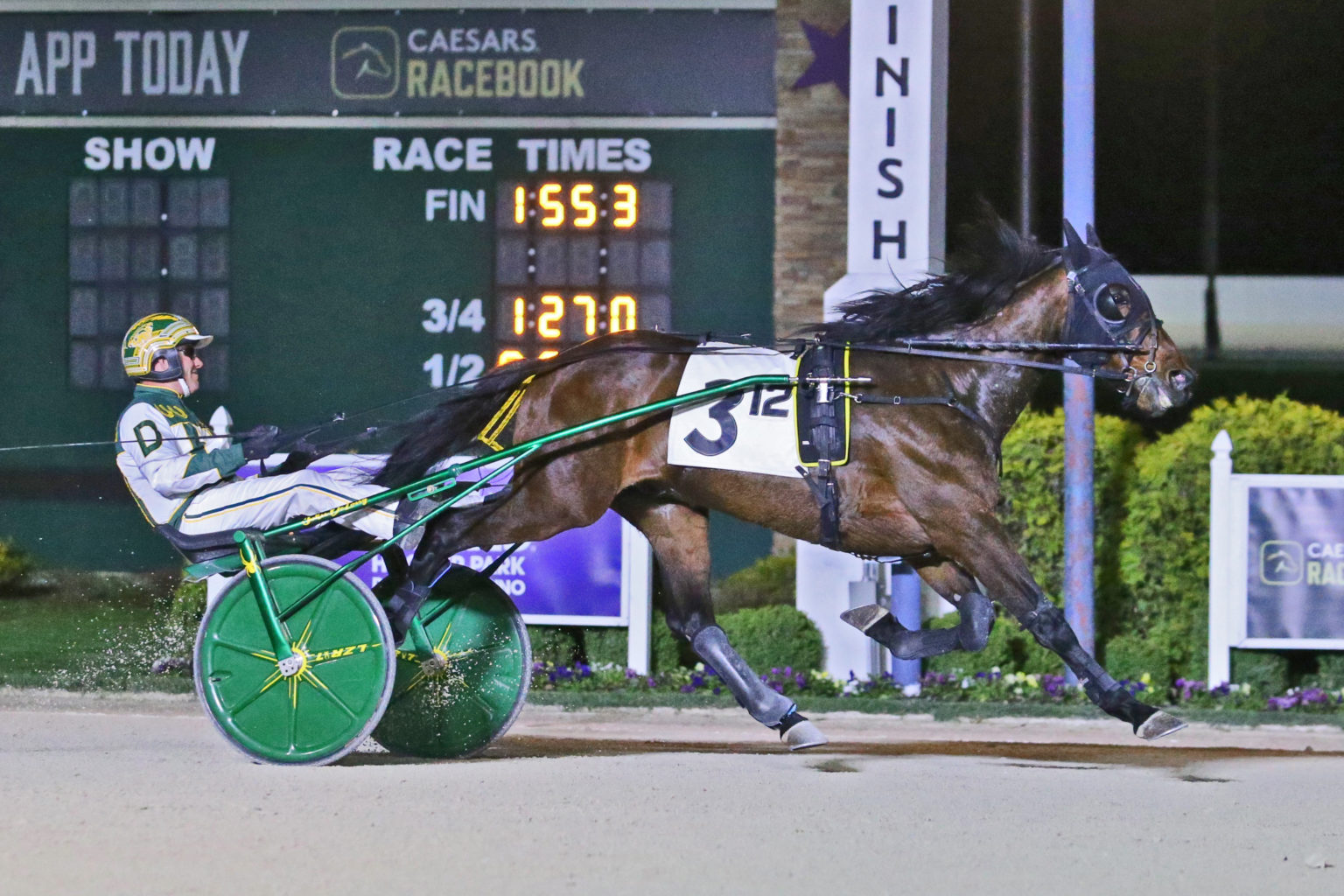 Green trotters pass first test for Essig - Harness Racing Update