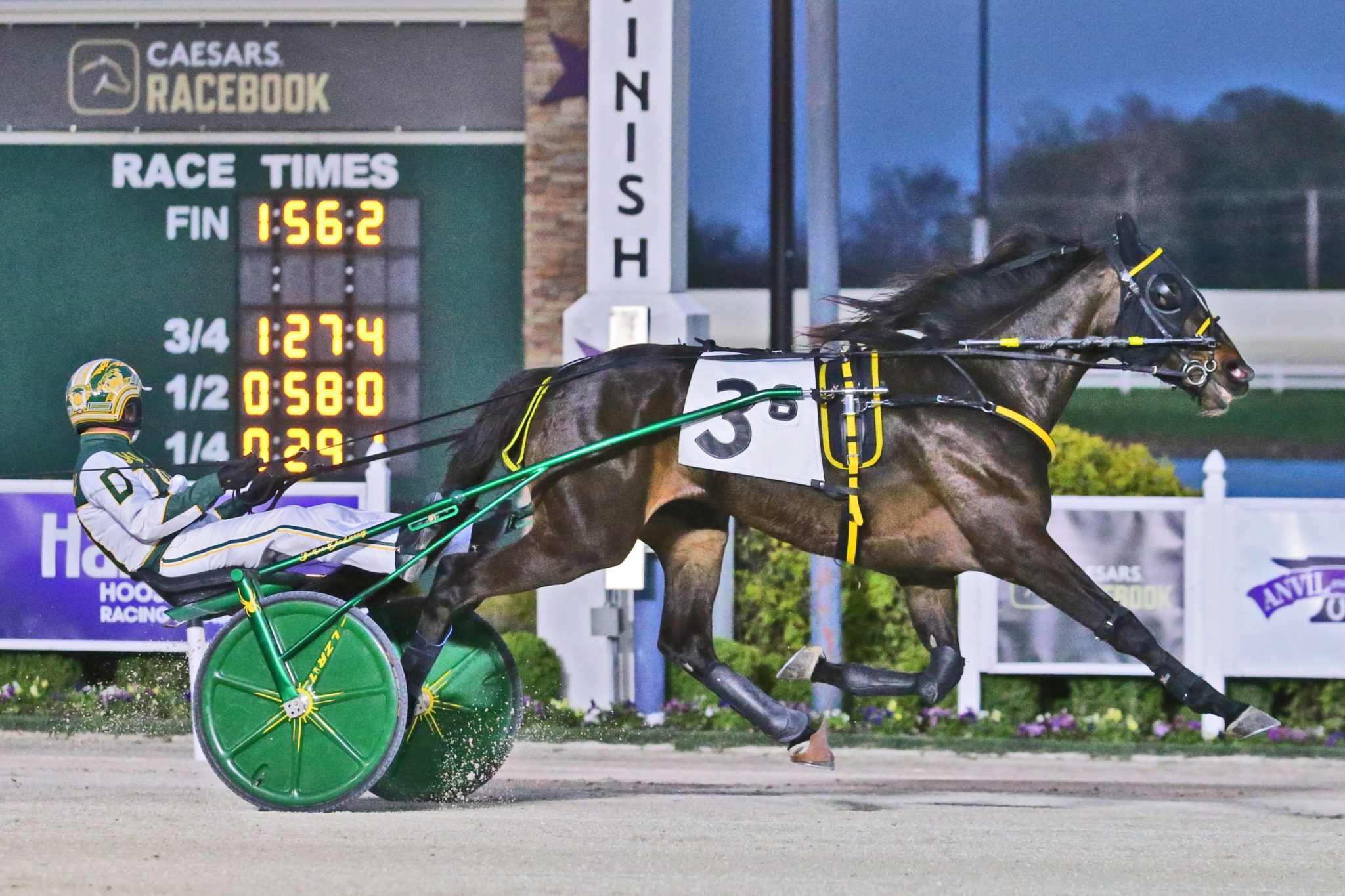 Green trotters pass first test for Essig - Harness Racing Update