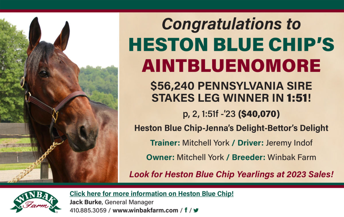 See her, be her - Harness Racing Update