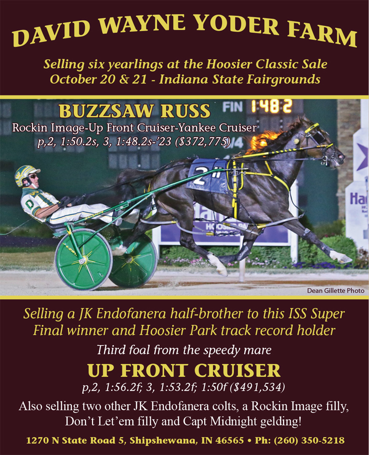 Sending a harness executive to the track - Harness Racing Update