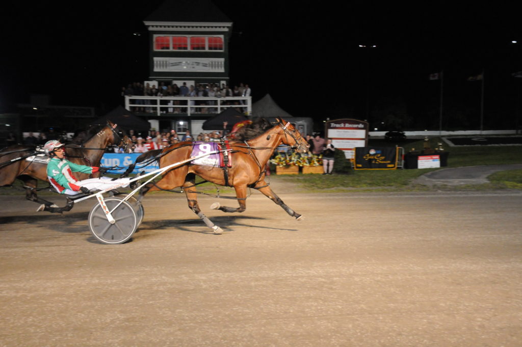 Covered Bridge and Jordan Stratton prevail in Gold Cup and Saucer 64 ...
