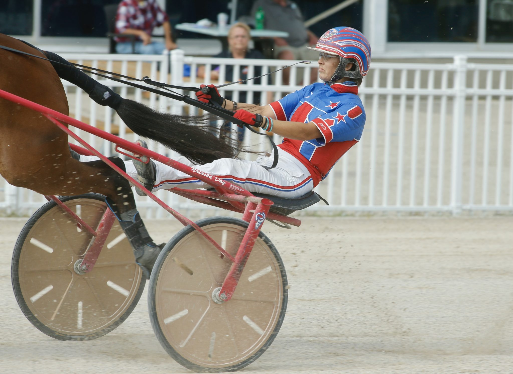 Natasha Day - driver / trainer / owner - Harness Racing Update