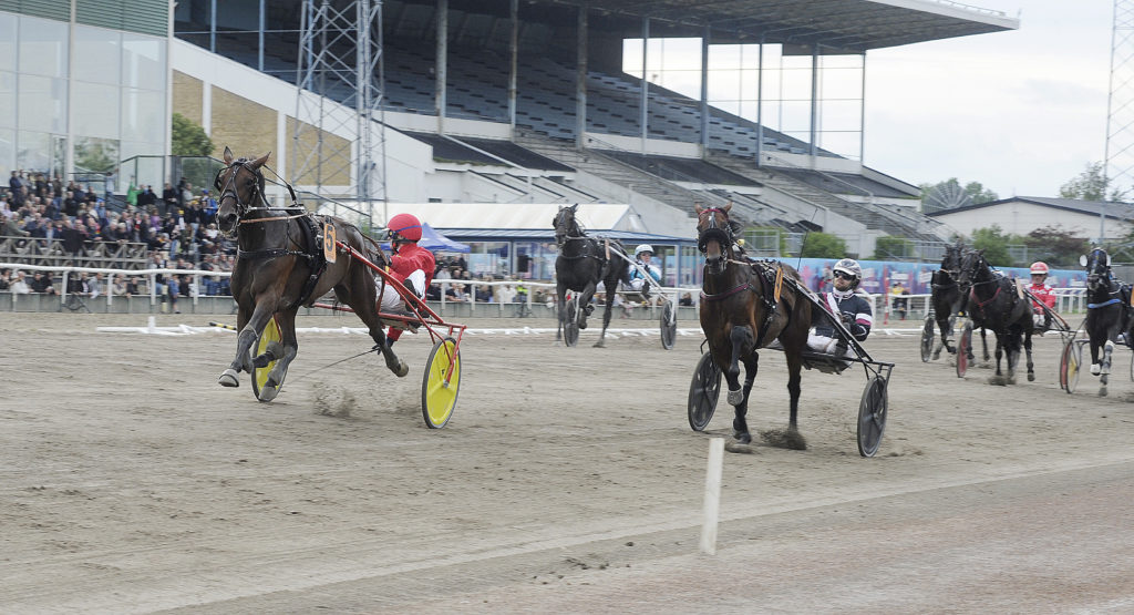 Joviality bested the boys in the Swedish Derby - Harness Racing Update