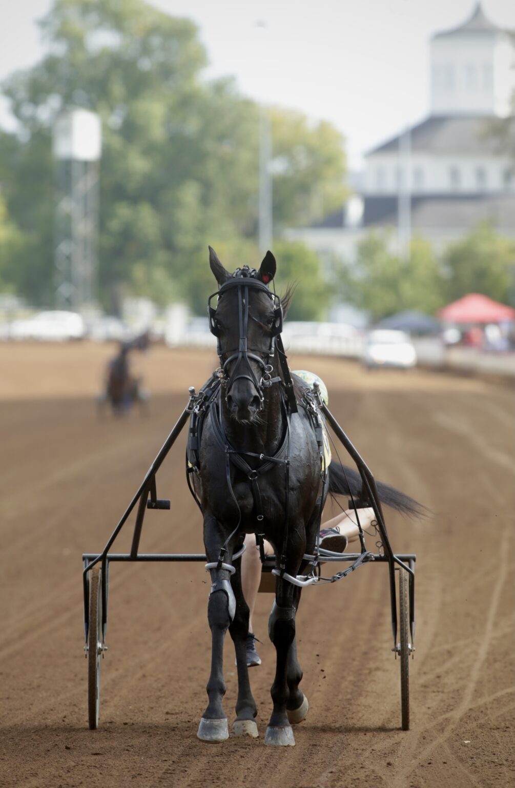 Tetrick believes Post 9 won’t hinder Confederate - Harness Racing Update