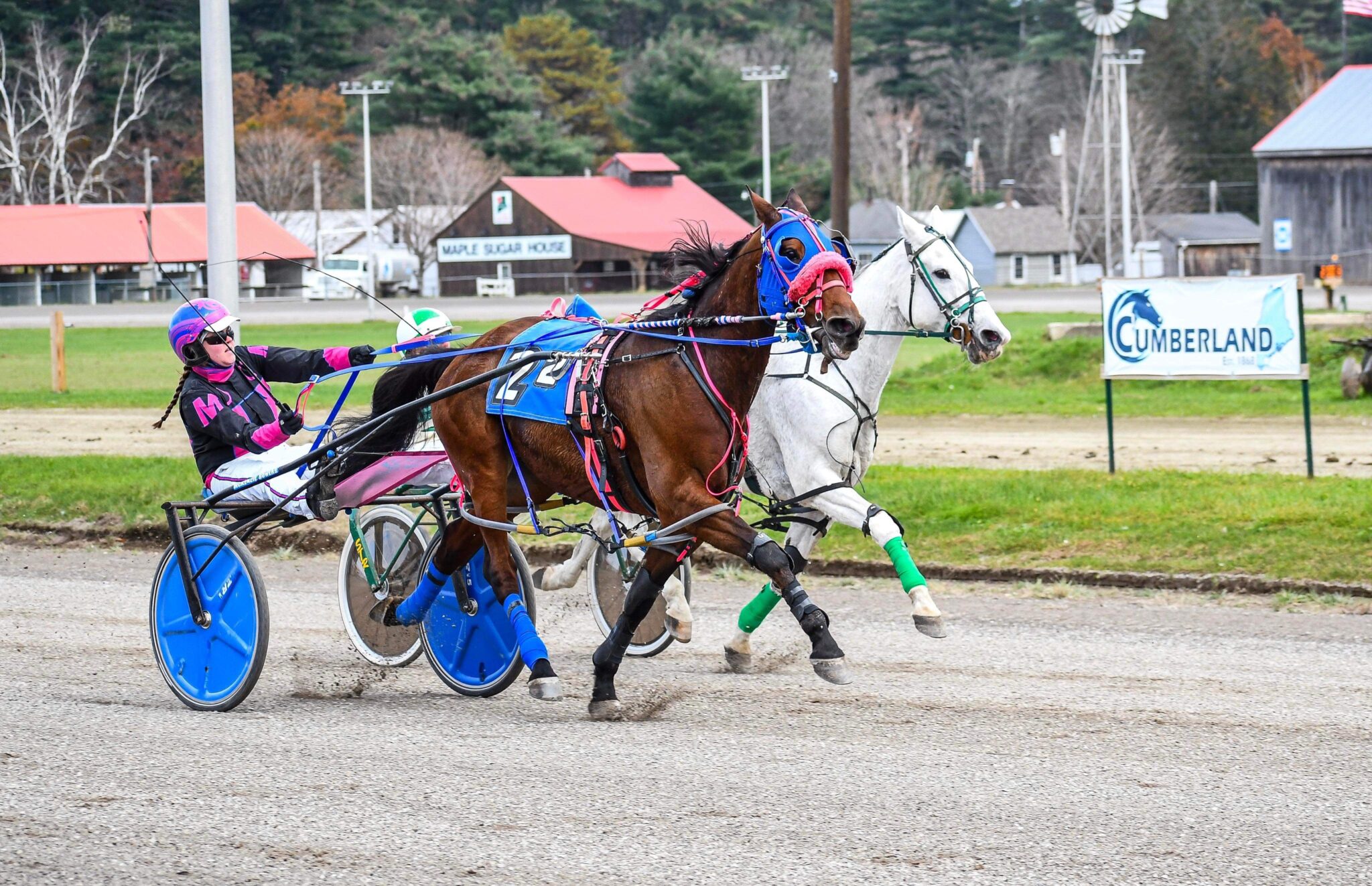 Third generation horsewoman McKenzie Sowers is making her family proud ...
