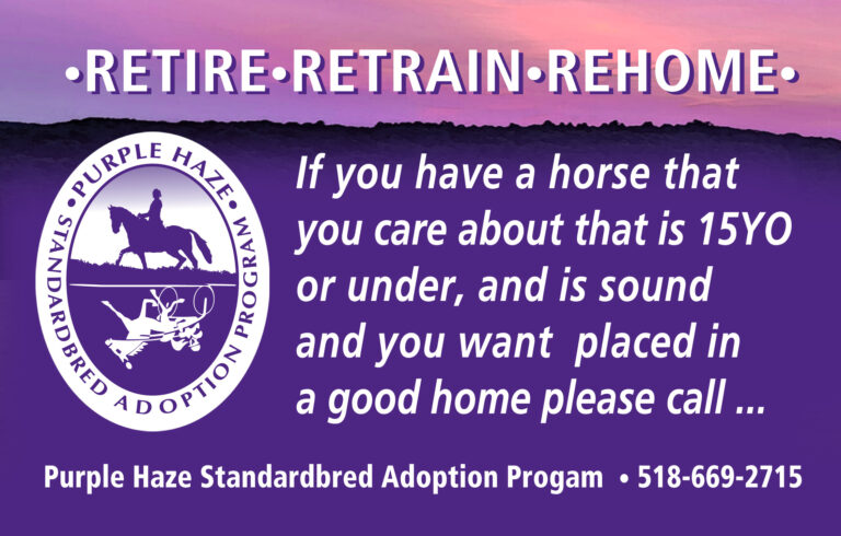 Has Michigan harness racing been re-incarnated? - Harness Racing Update