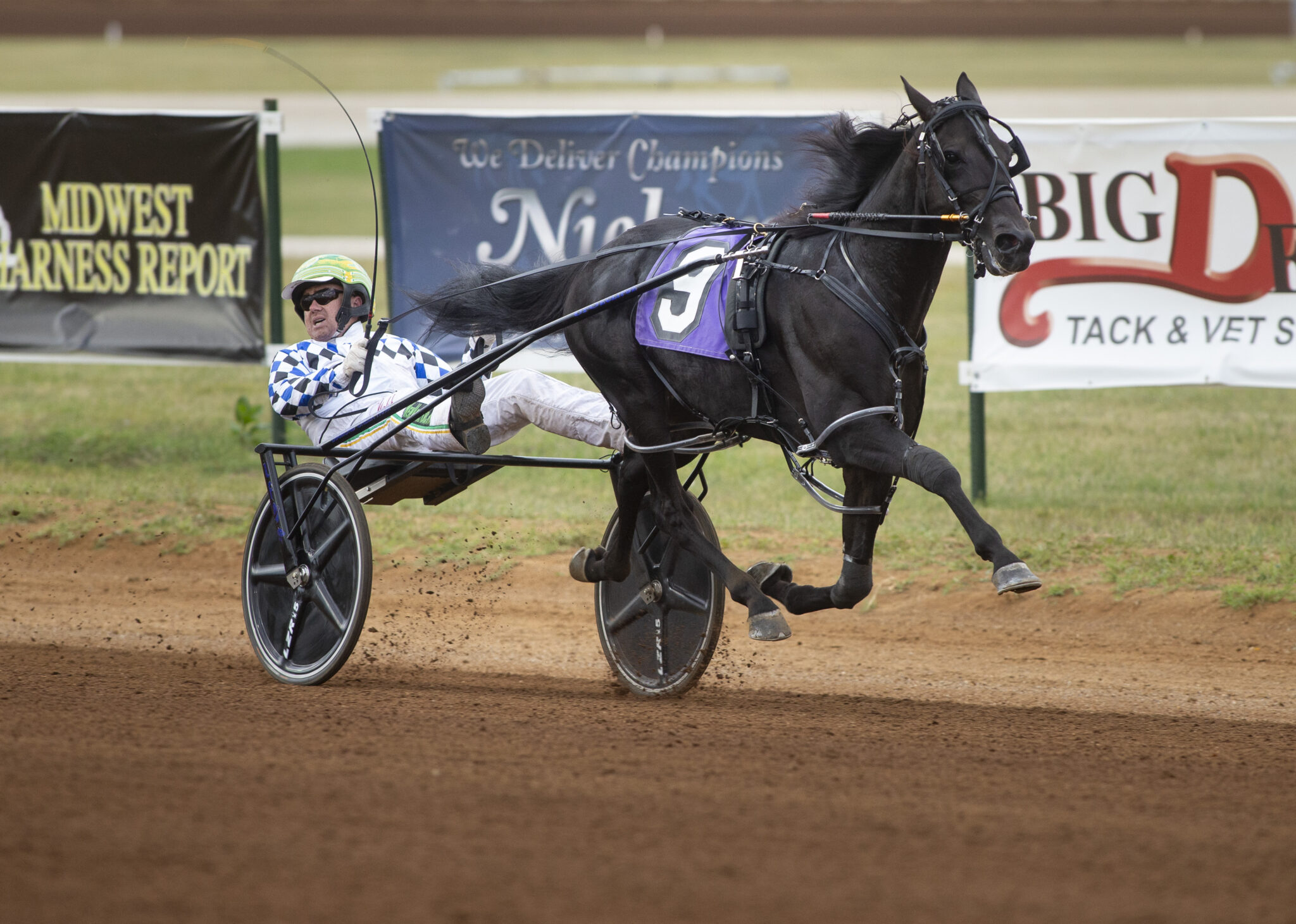 Confederate tops phenomenal year with U.S. Horse of the Year title ...