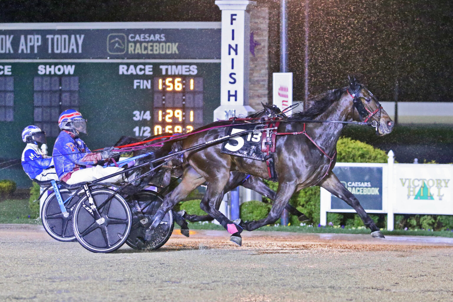 Unwanted trotter A Blue Million streaking at Harrah’s Hoosier Park ...