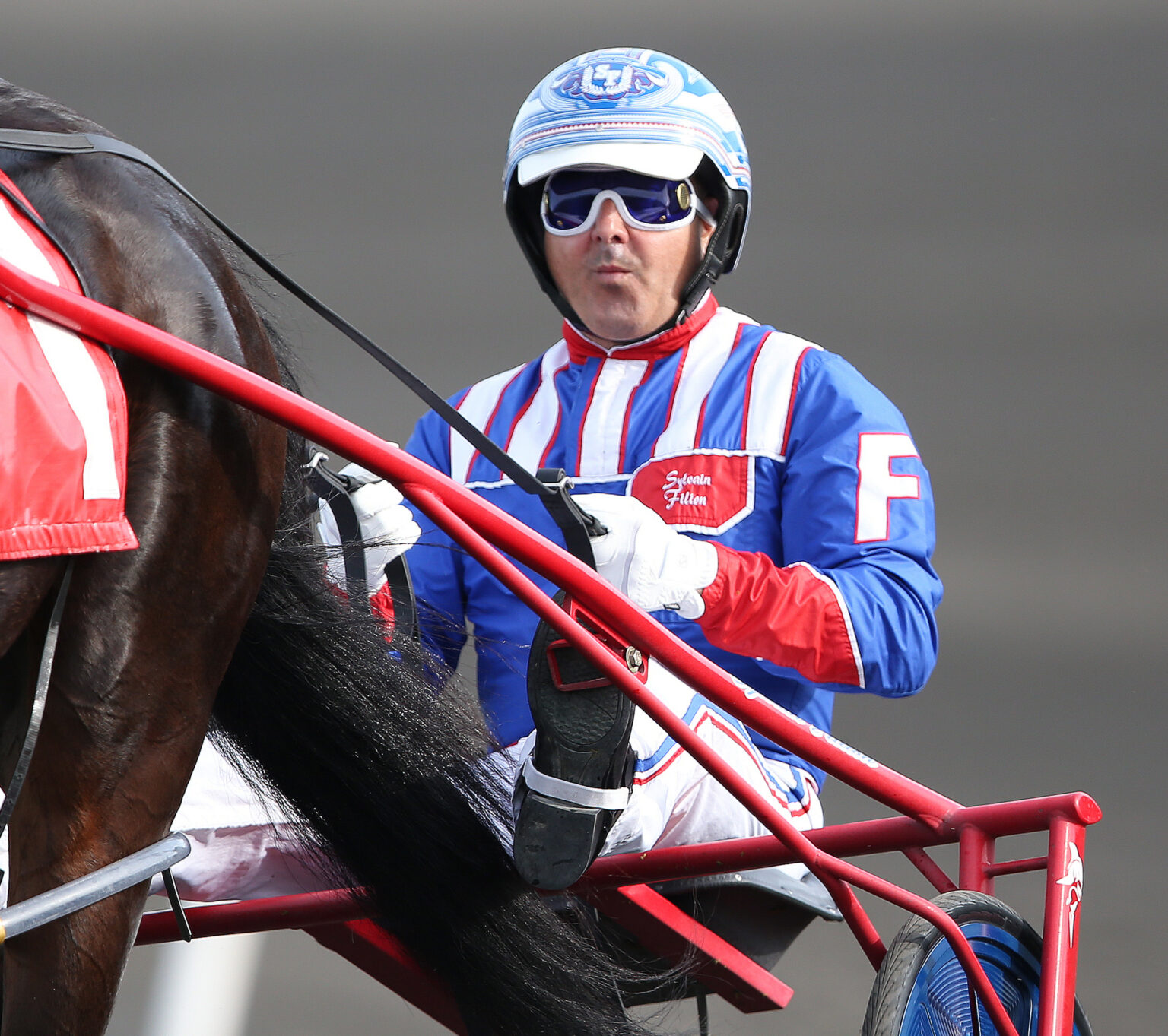 Sylvain Filion hoping for a ‘Funtime’ this summer - Harness Racing Update