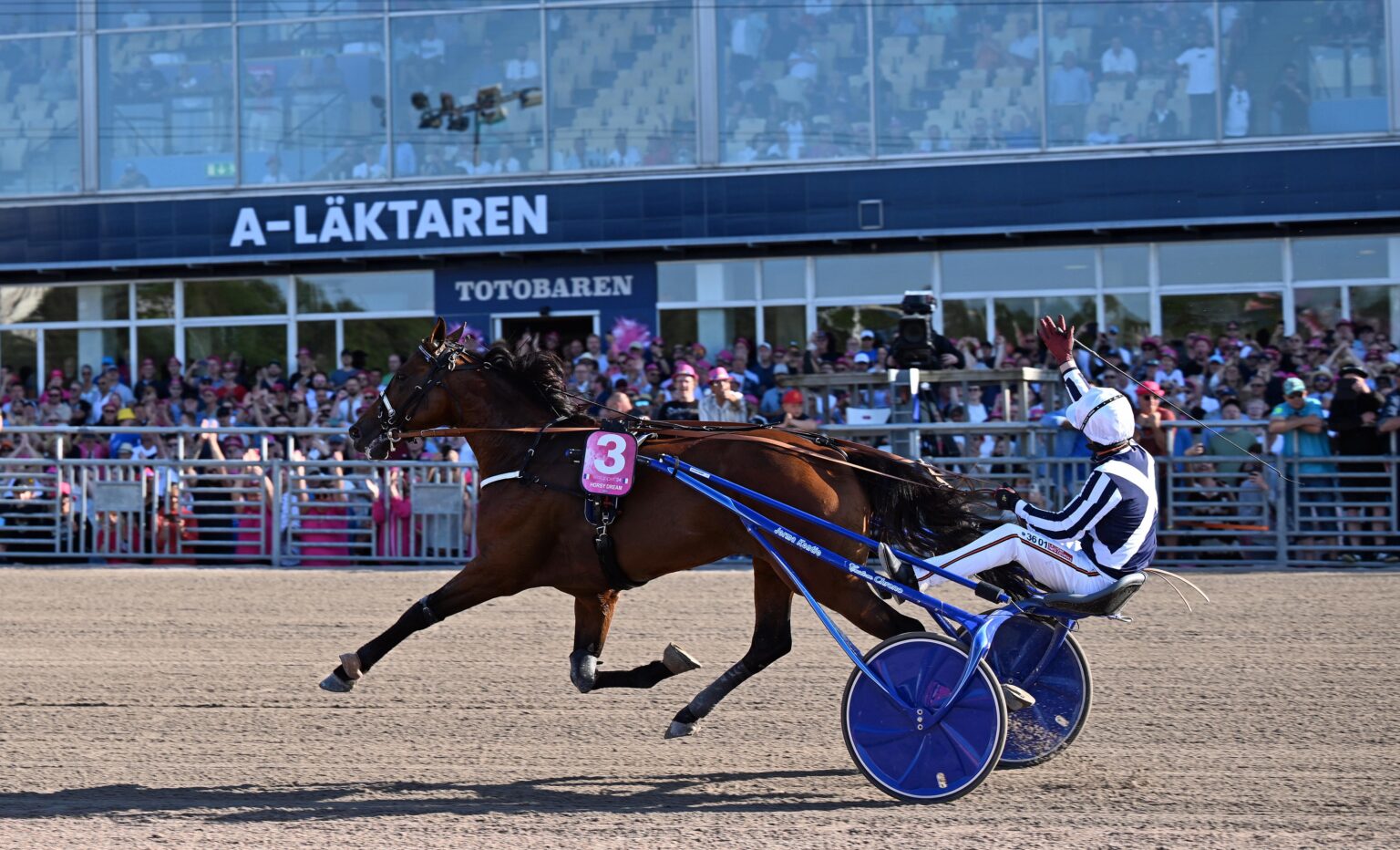 Horsy Dream dominates Elitloppet with 1:49.2 European record - Harness ...