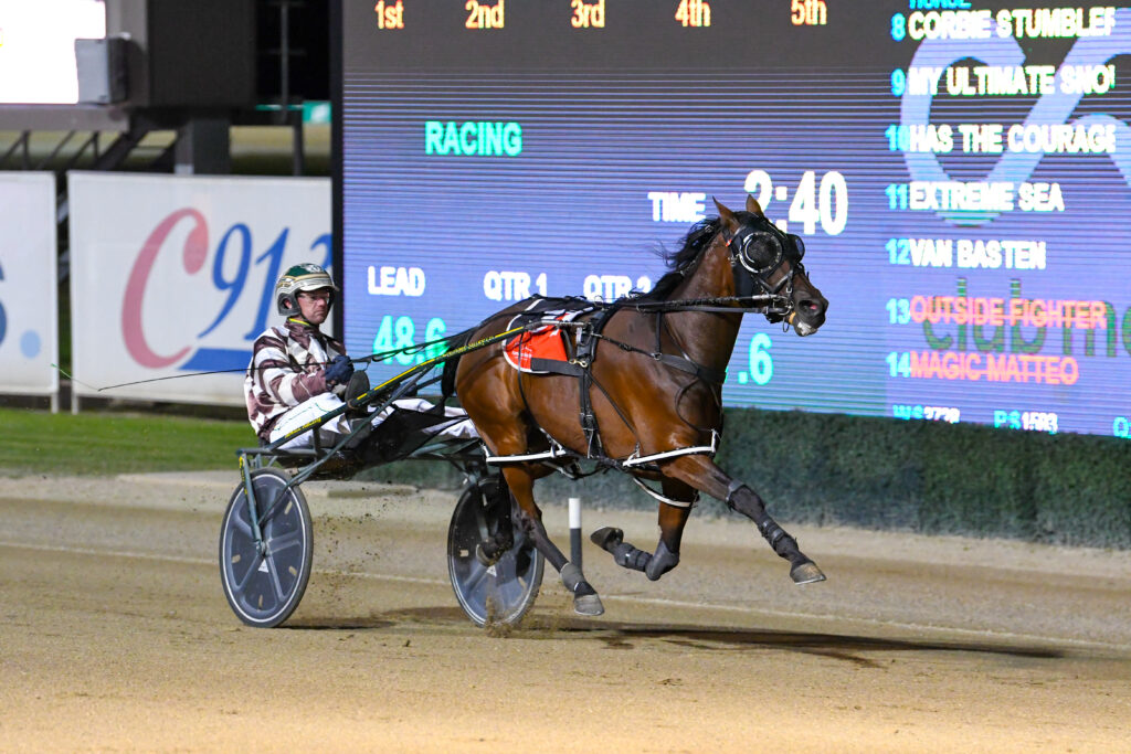 David Hewitt may have found his horse of a lifetime - Harness Racing Update