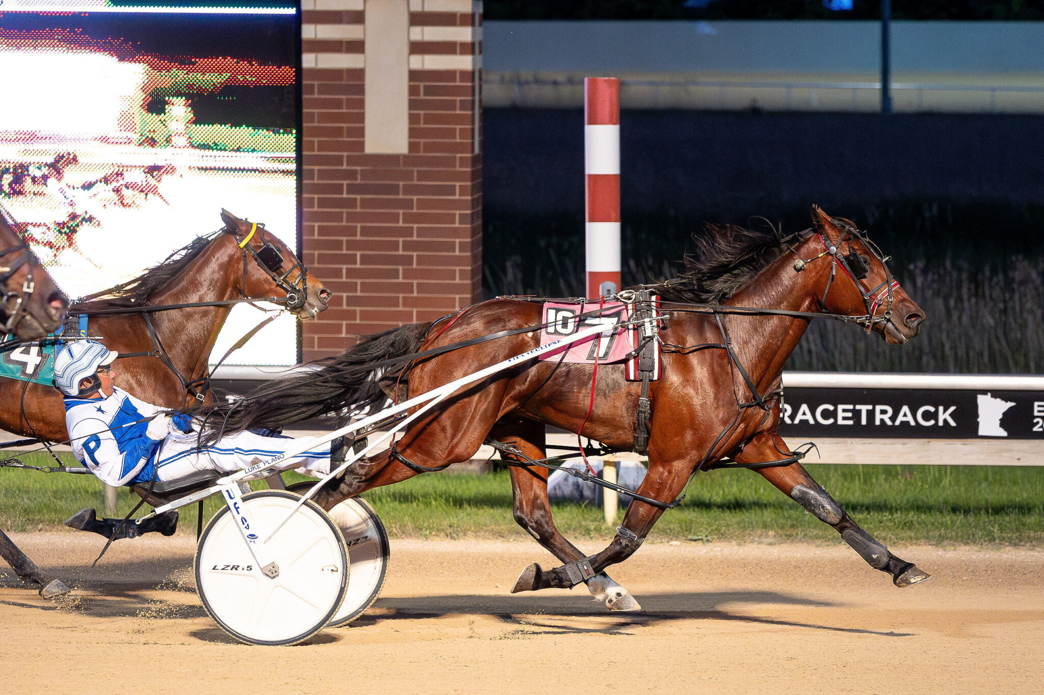 Celebrity Status delivers surprise milestone win for Roland - Harness ...