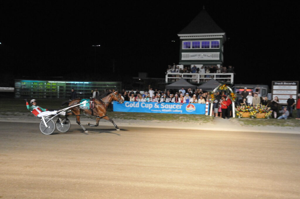 Double Covered - Harness Racing Update