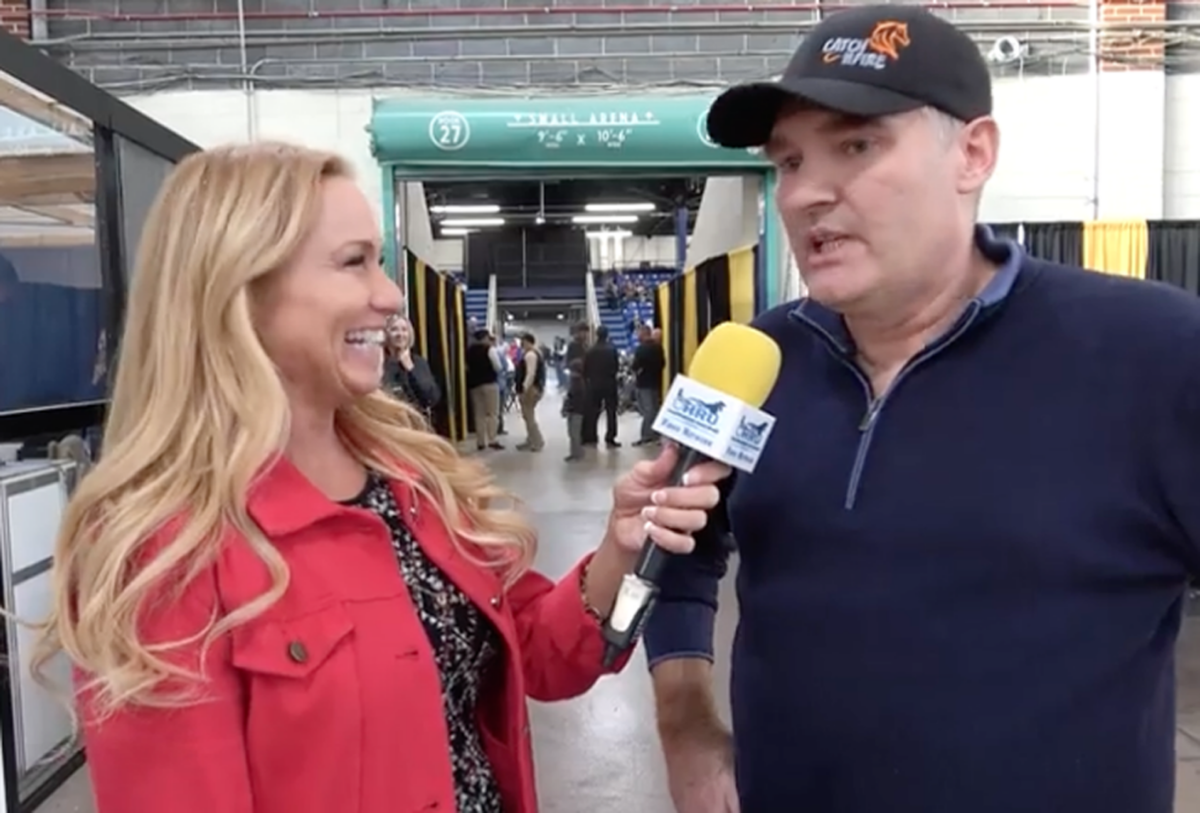 Amazing Catch becomes the most expensive standardbred sold at auction ...