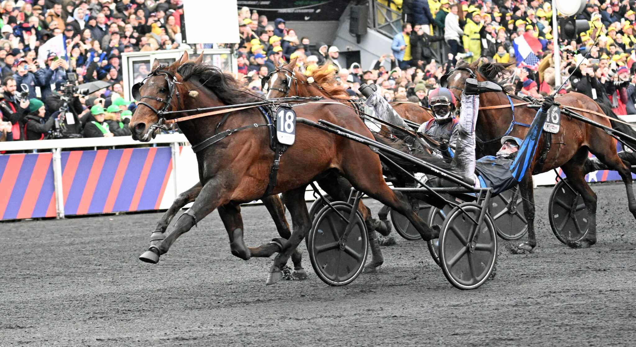 Idao de Tillard repeats in Prix d’Amérique - Harness Racing Update