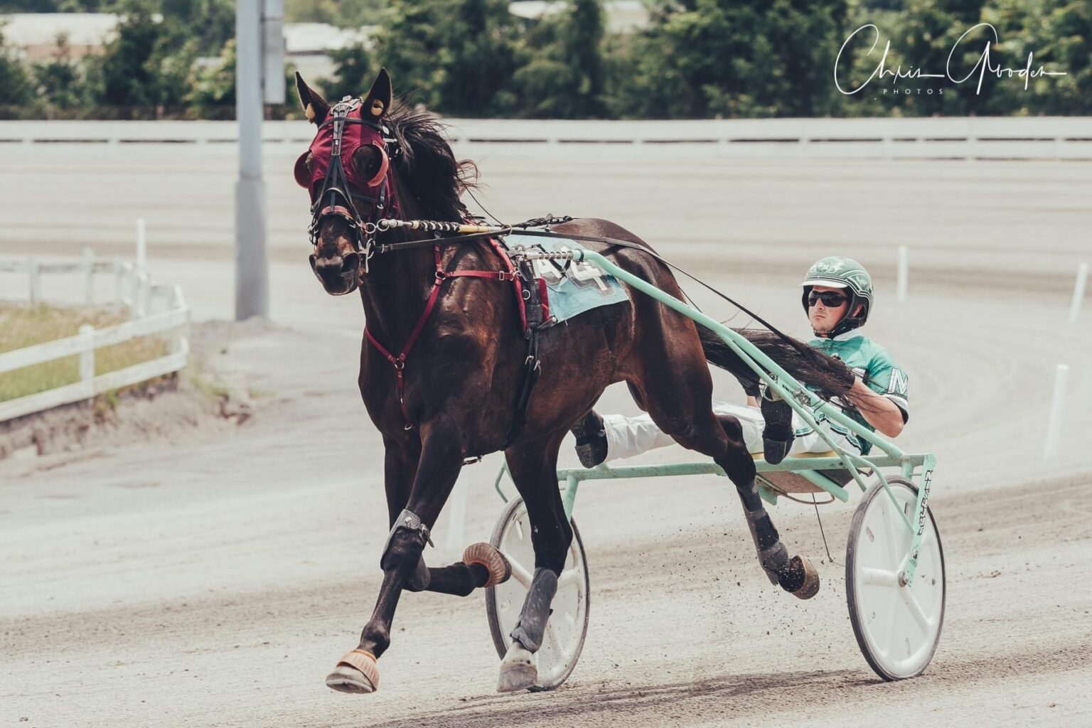 Industry rallies in response to Hunter Myers tragedy - Harness Racing ...