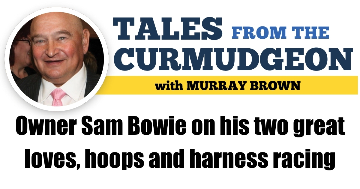 Owner Sam Bowie on his two great loves, hoops and harness racing ...