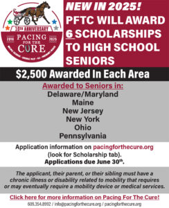 Forty-two facts about Niatross to celebrate what would have been his ...