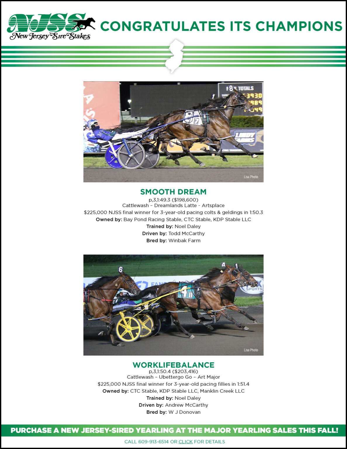 Michigan horse racing faces troubling future as Northville Downs has ...