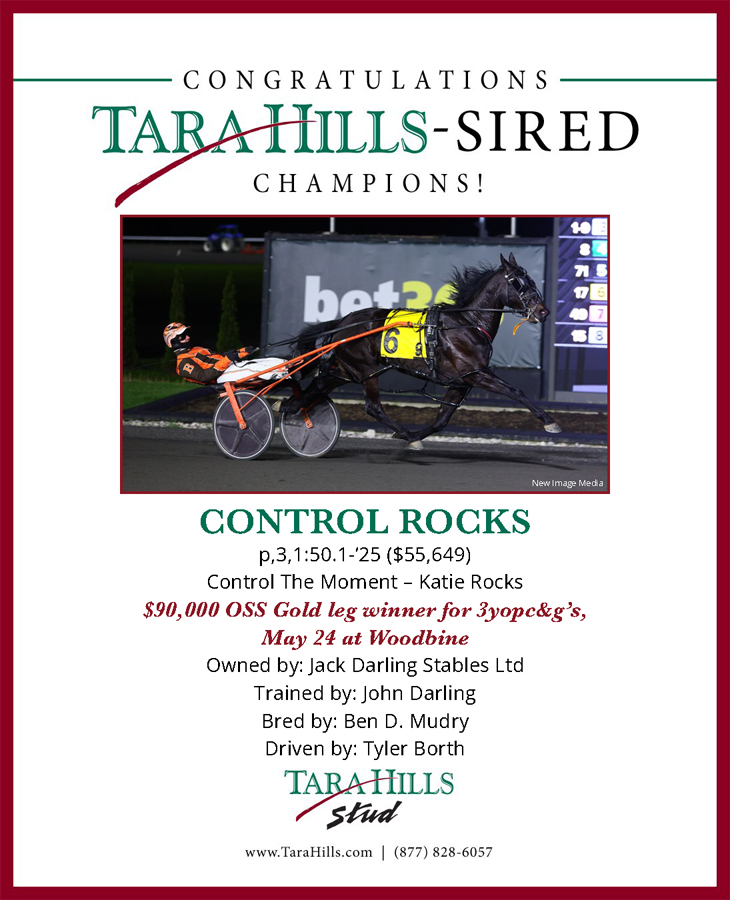 Forty-two facts about Niatross to celebrate what would have been his ...