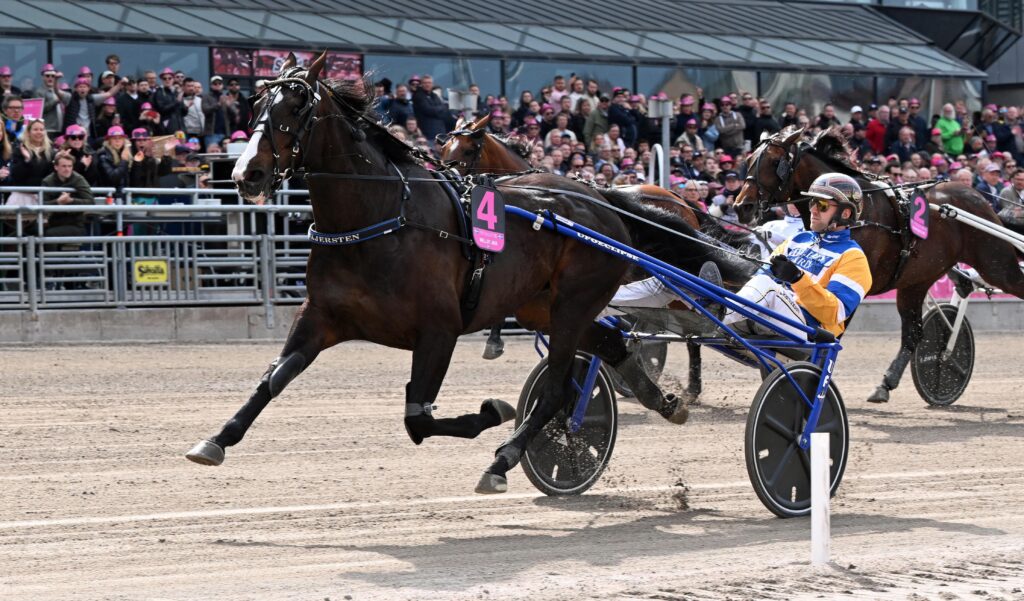 Go On Boy gives France fourth straight Elitloppet victory - Harness Racing Update