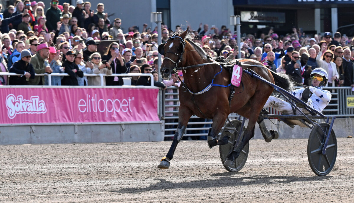 Go On Boy gives France fourth straight Elitloppet victory - Harness Racing Update