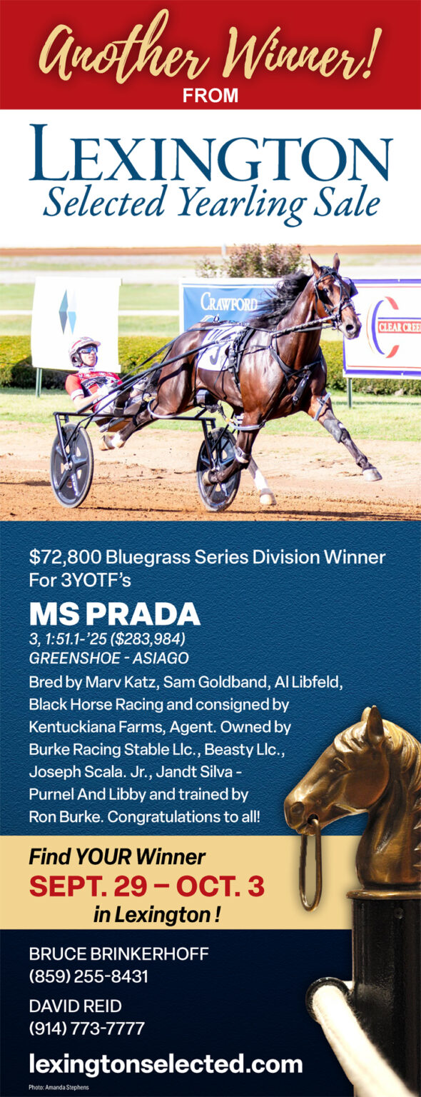 Trotting Sire Trends at Lexington - Harness Racing Update