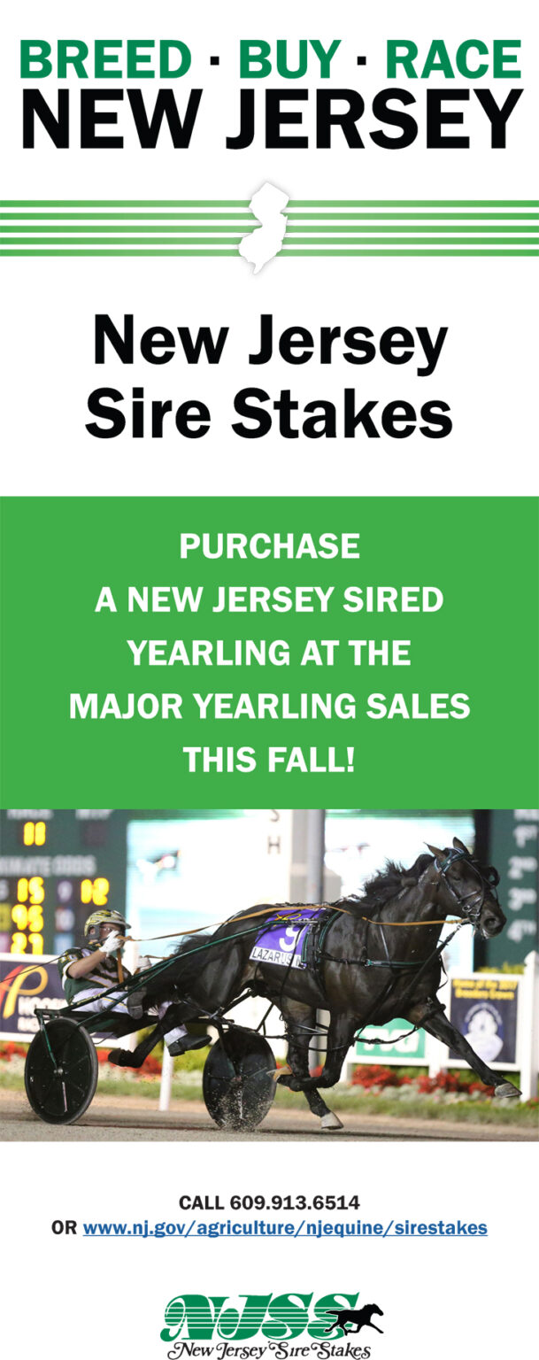 Tara Hills Stud stallions sit atop OSS leaderboard - Harness Racing Update