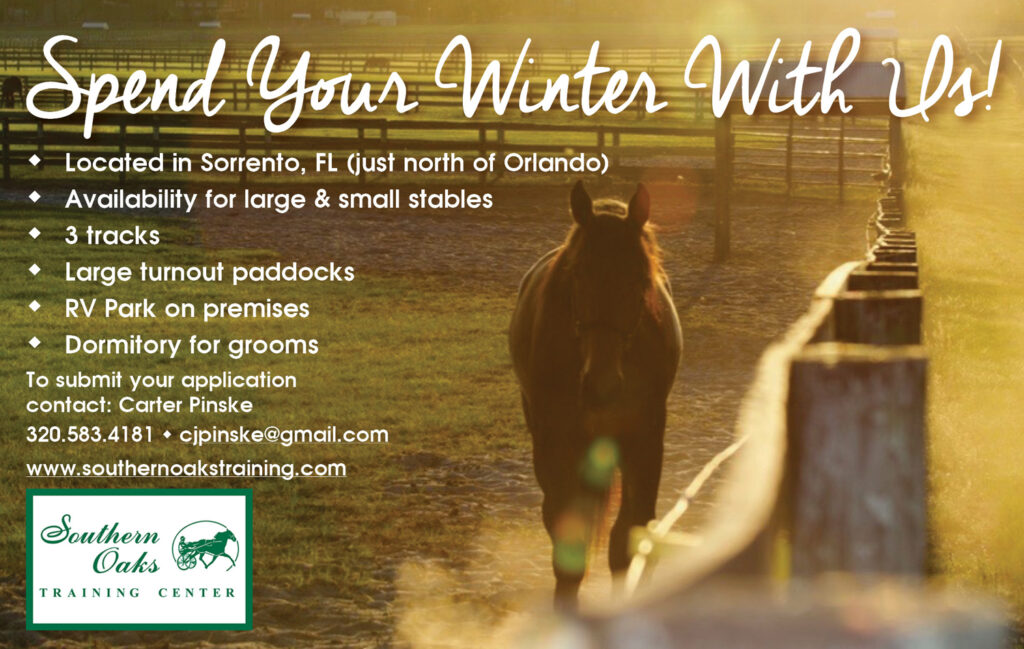 Tara Hills Stud stallions sit atop OSS leaderboard - Harness Racing Update