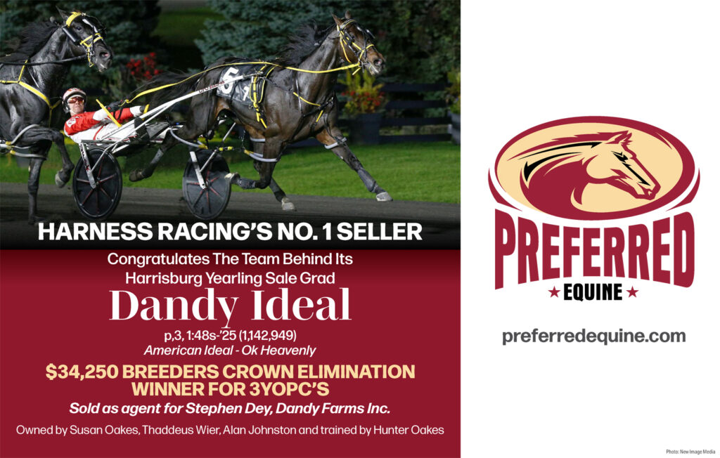 A boundary-breaking 25th year for Horseplayer Interactive - Harness ...