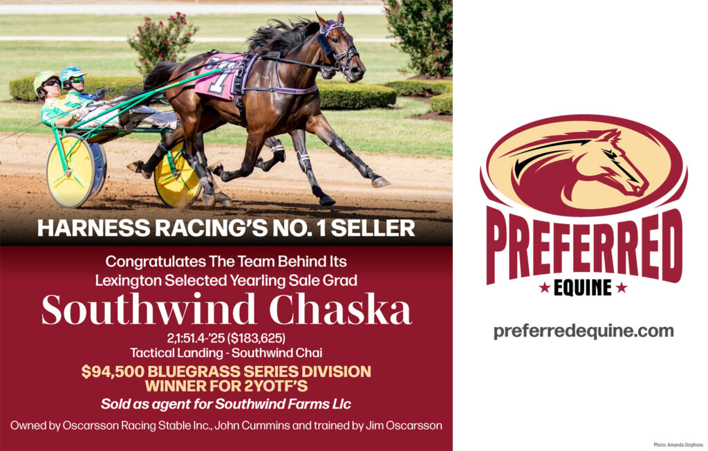 Tara Hills Stud stallions sit atop OSS leaderboard - Harness Racing Update