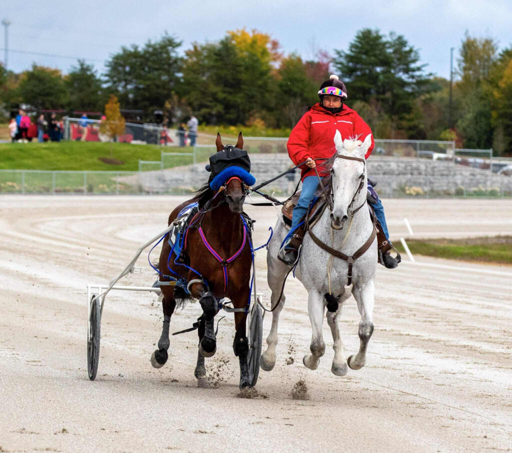 Shelley Lee Moran loves sitting on top of a horse - Harness Racing Update
