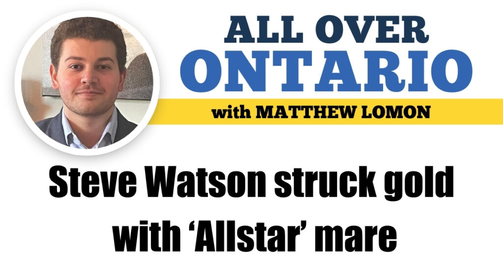 Steve Watson struck gold with ‘Allstar’ mare - Harness Racing Update