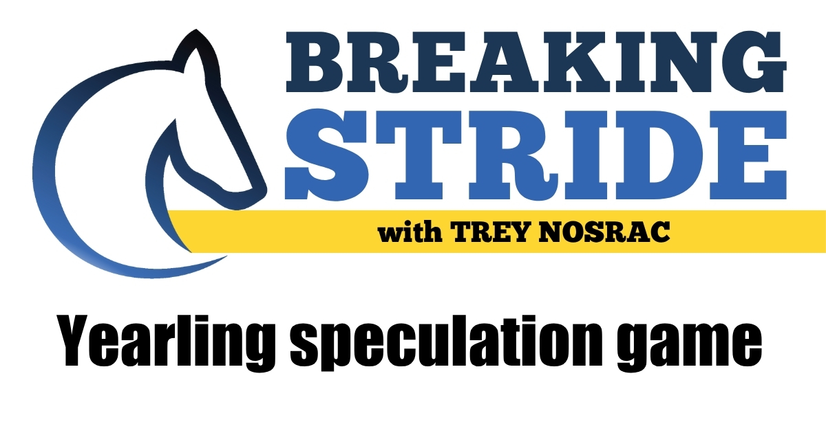 Yearling speculation game - Harness Racing Update