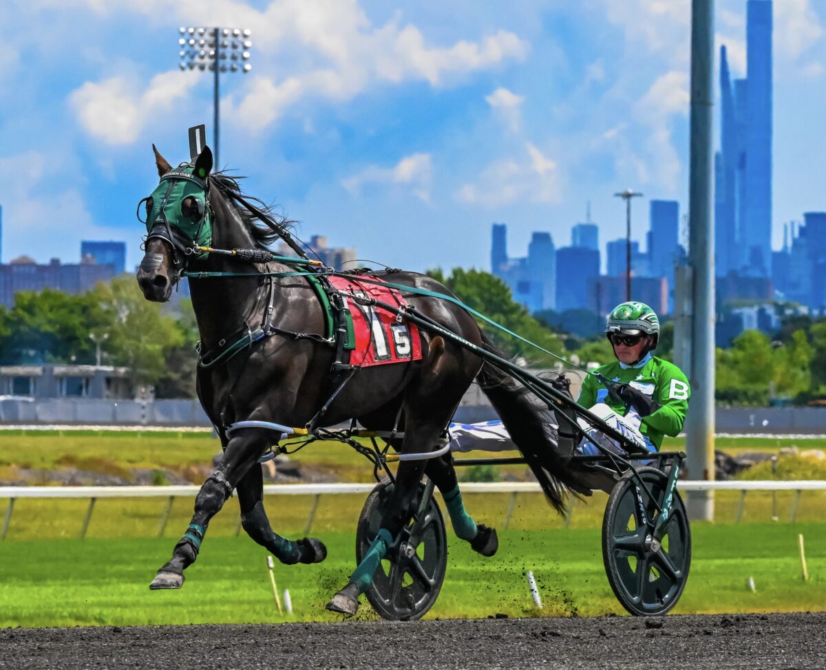 Well-traveled Braxten Boyd reaps Rising Star honors - Harness Racing Update