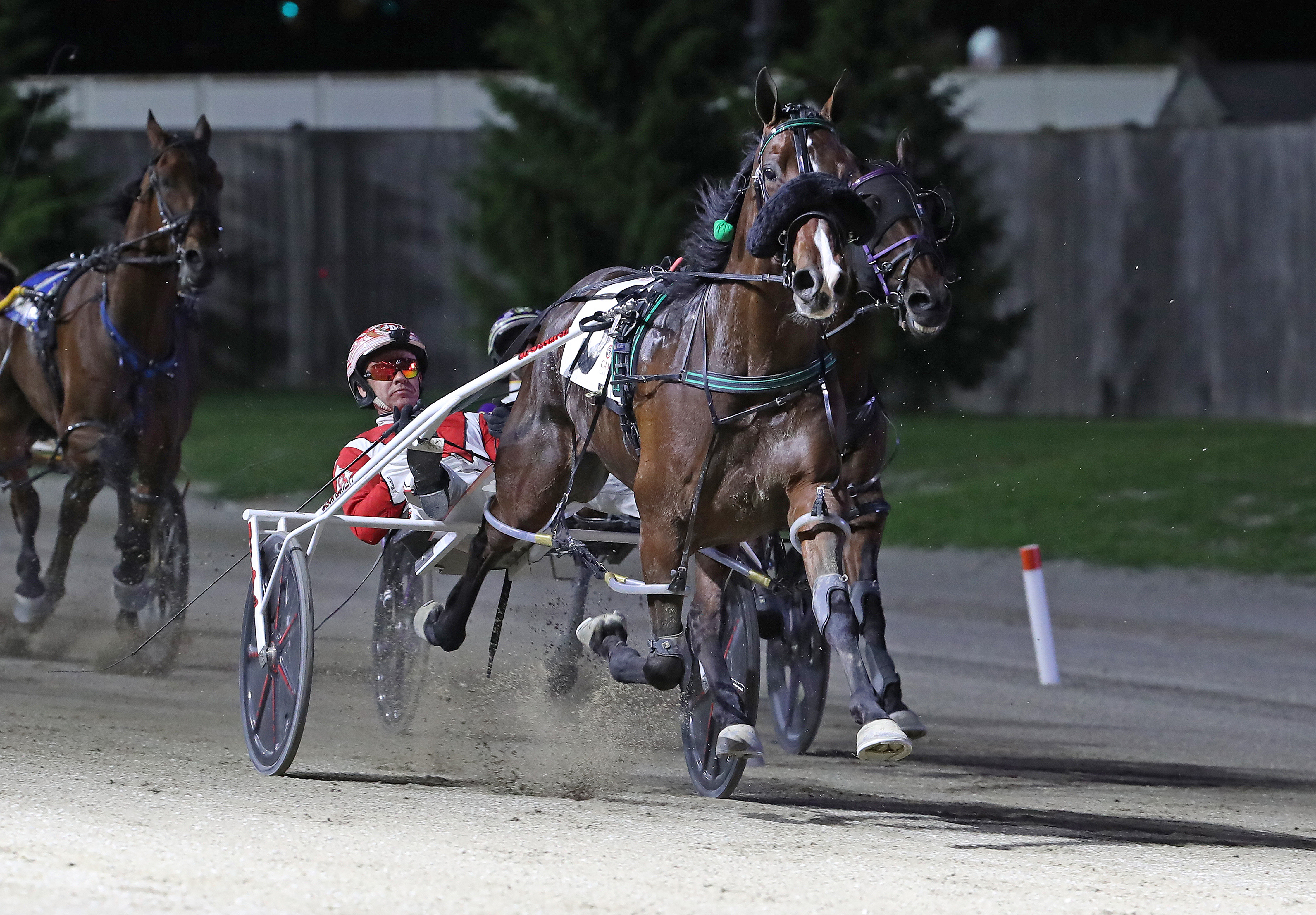 Grand Circuit Canadian Weekend begins with Camluck Classic - Harness ...